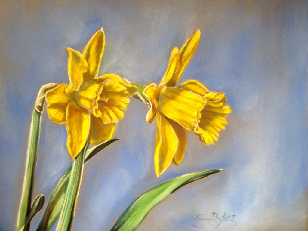 Dessiner un Cavalier King Charles aux pastels - Cindy Barillet