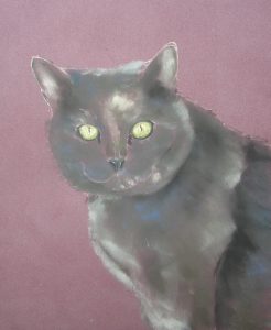 Chat au pastel - Cindy Barillet