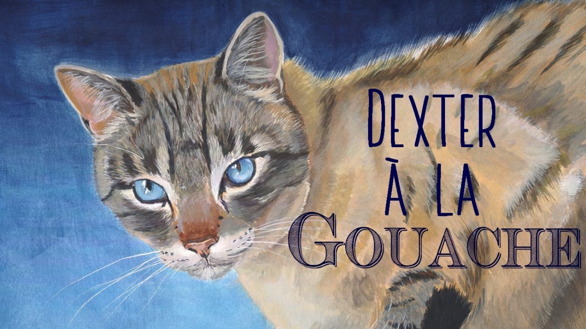 Démo gouache : Portrait de Chat - Cindy Barillet