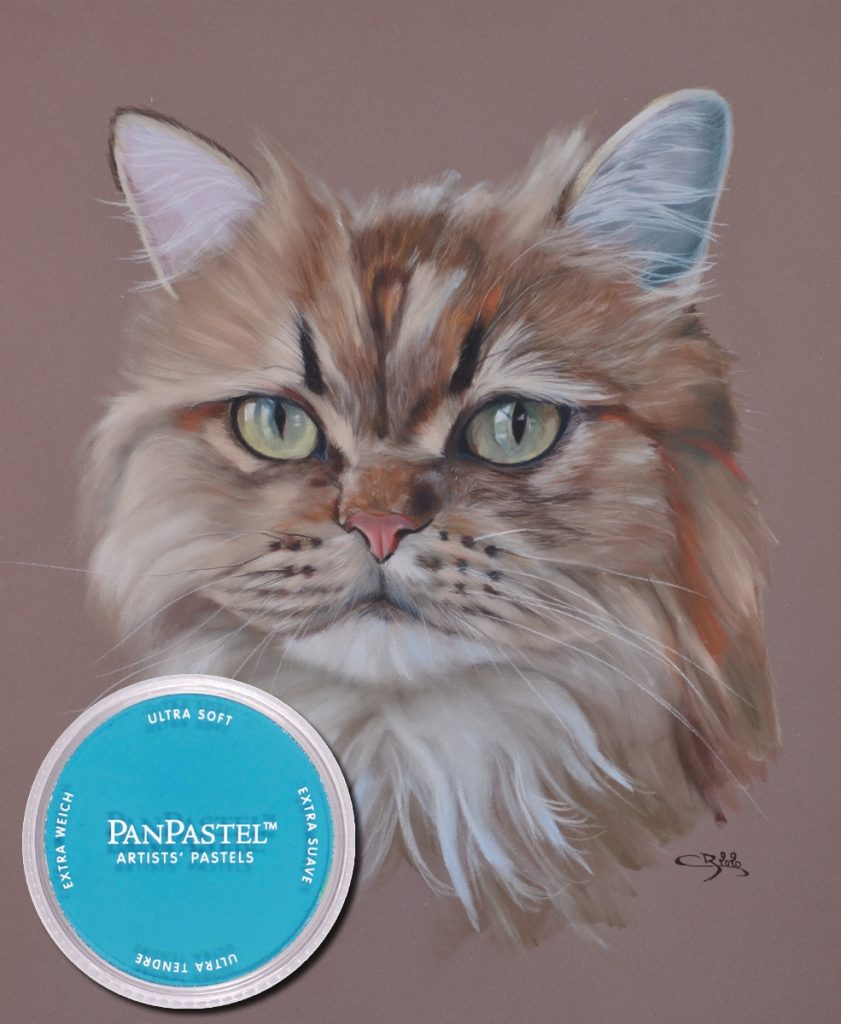 Cours de pastel en vidéo - Cindy Barillet